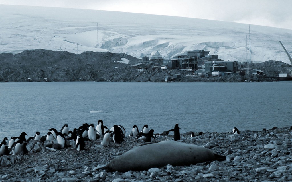 Polar Landscape – Polar ICE