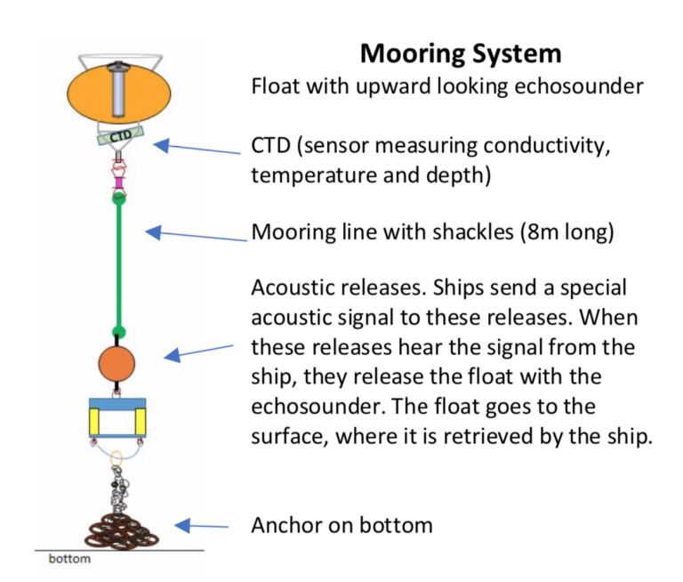 SWARM Data Activity #4 – Polar ICE