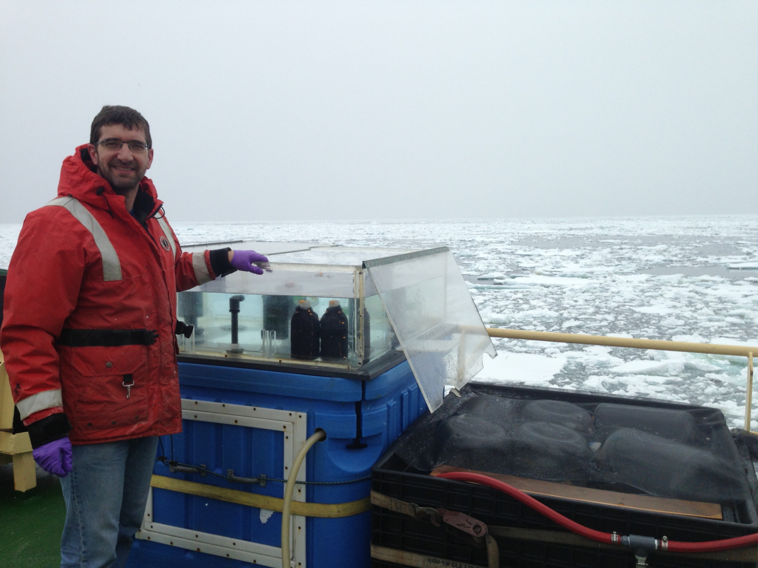 LIVE Webinar – Science Research on the Ice – Polar ICE